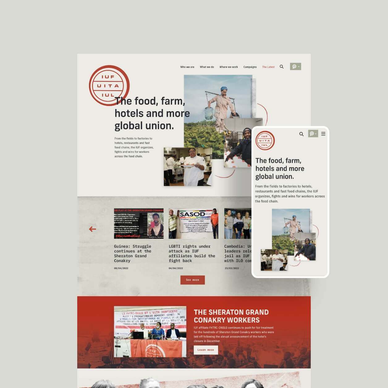 IUF | Optima Graphic Design Consultants