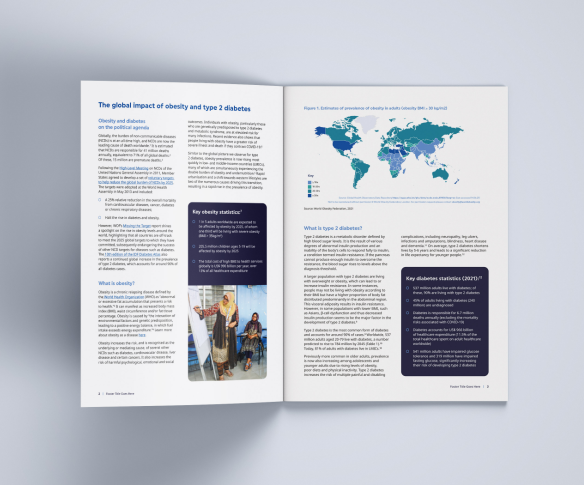 IDF | Portfolio | Optima Design | Optima Graphic Design Consultants